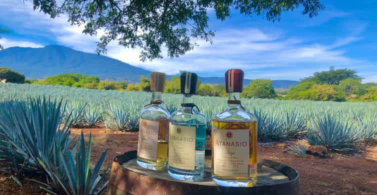 Tequila Full Experience | GetYourGuide