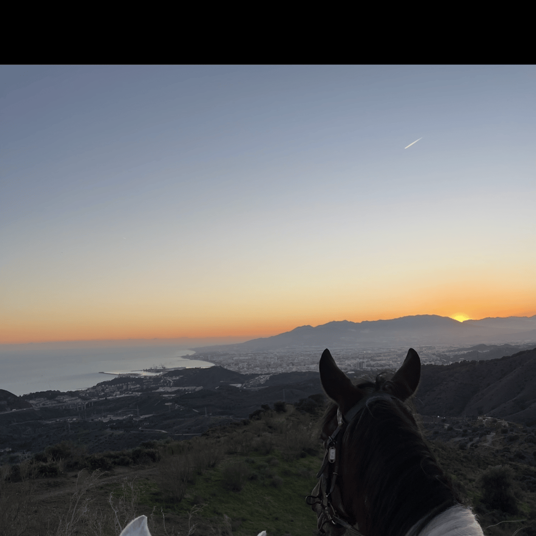 Horseback riding in the Montes Málaga Natural Park - 1 hour | GetYourGuide