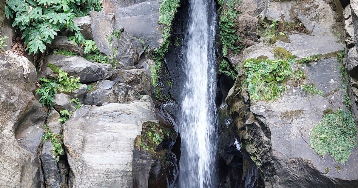 Tour di mezza giornata in 4X4 della Lagoa do Fogo e Biblioteca del Gin ...