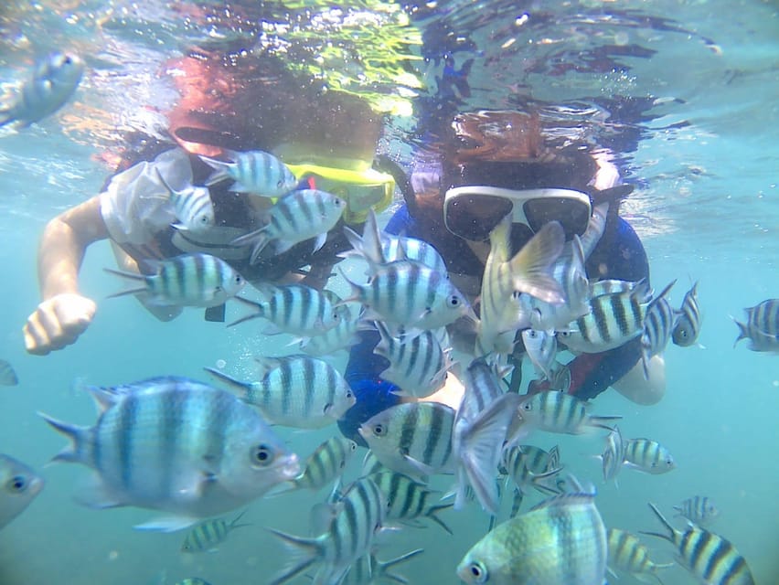 Bintan snorkeling | GetYourGuide