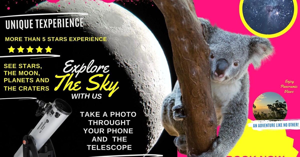 Brisbane: Koalas, City Views & Stargazing with Pick-Up | GetYourGuide