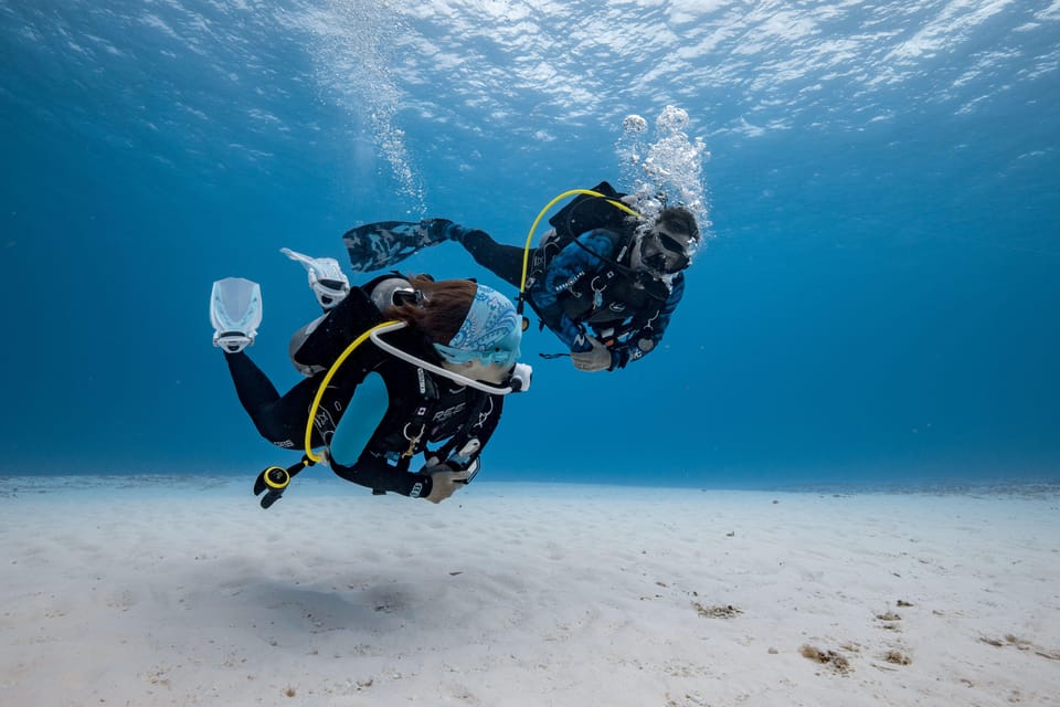 Cozumel: 2 tanks certified scuba diving | GetYourGuide