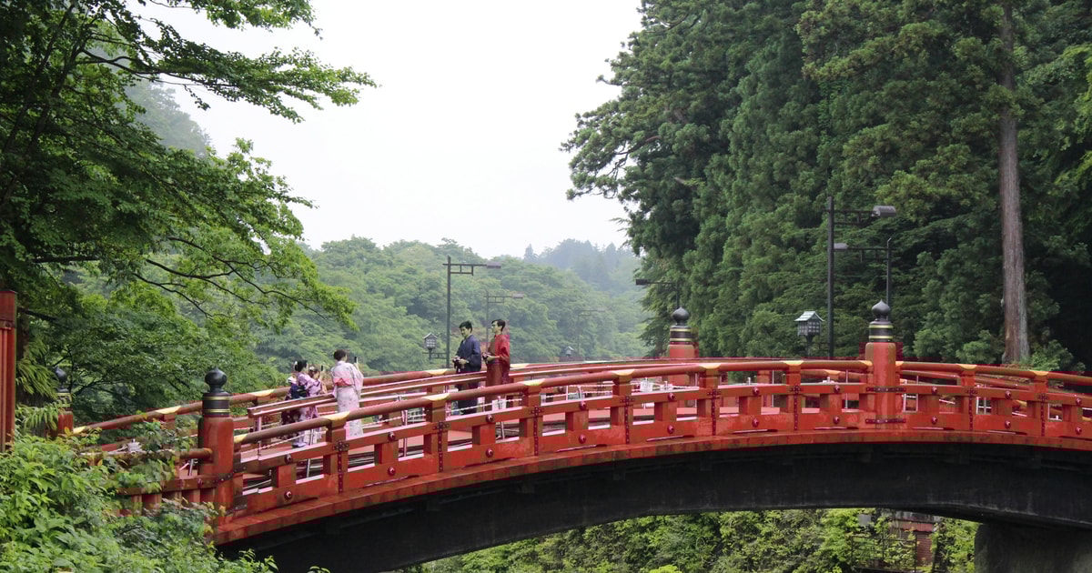 From Tokyo: Fully Customizable Private Nikko Tour | GetYourGuide