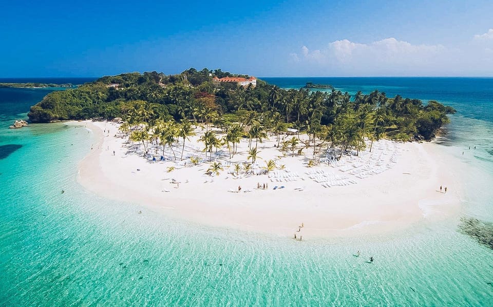 Samana: Amazing whale watching Experience Punta Cana | GetYourGuide