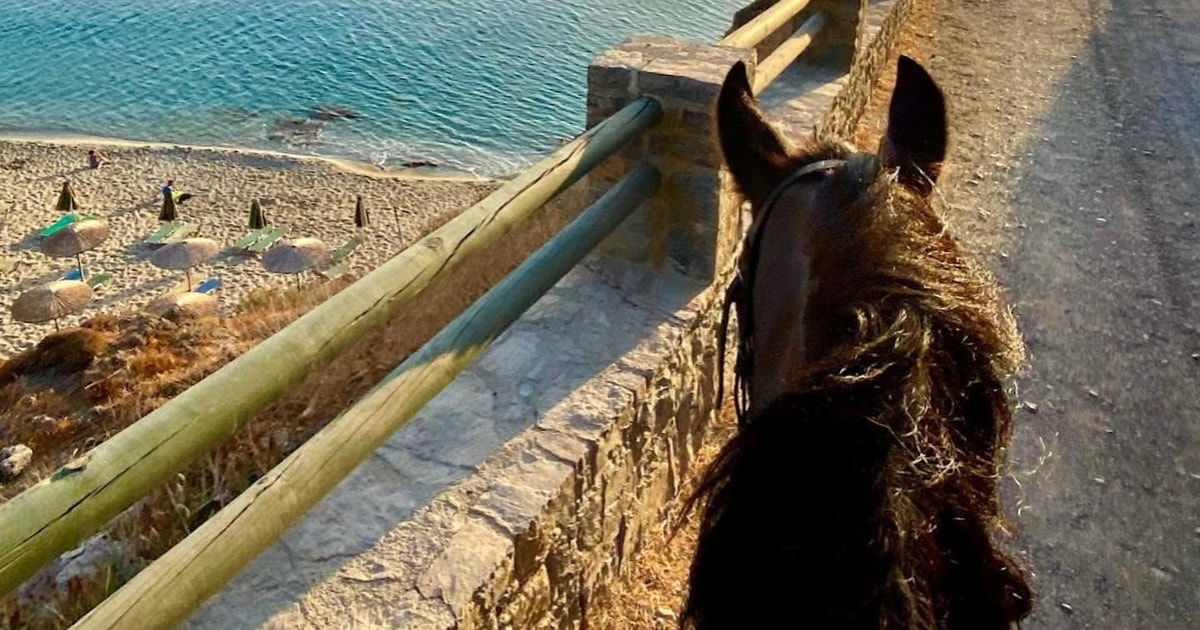CHR - Crete Horse Riding: East Coastline Ride | GetYourGuide