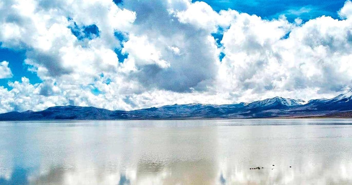 Tour of Salinas and Yanaorco lagoons + Lojen thermal baths | GetYourGuide