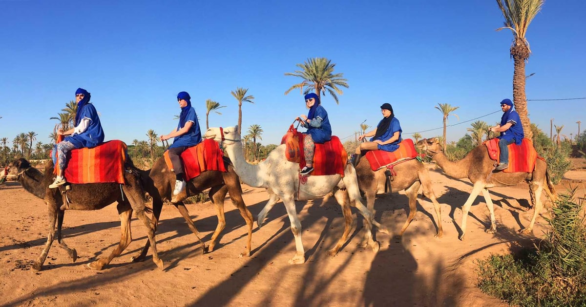 Marrakech : Camel Ride Experience in the Palmeraie | GetYourGuide