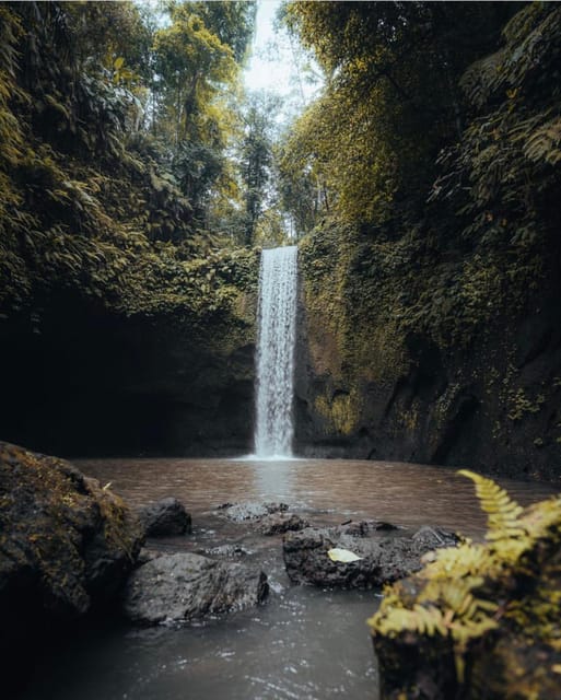 Ubud Top three waterfall & rice terrace - all inclusive | GetYourGuide