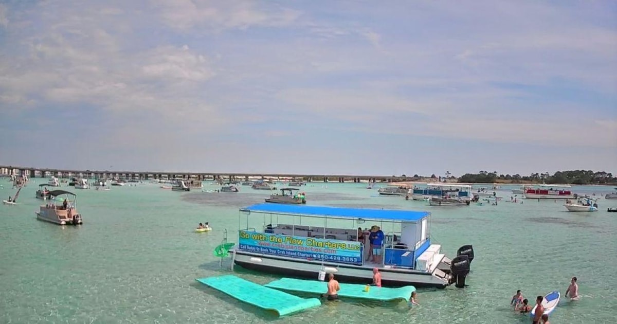 Crab Island: 4-Hour Crab Island Charter Experience | GetYourGuide
