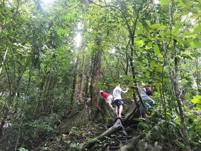 Phuket: Jungle Trekking Experience at Khao Phra Taew | GetYourGuide