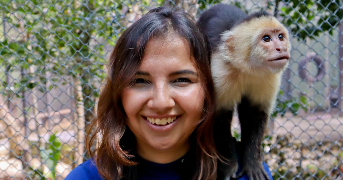 Akumal: Monkey Sanctuary visit, ride an ATV & swim in cenote | GetYourGuide