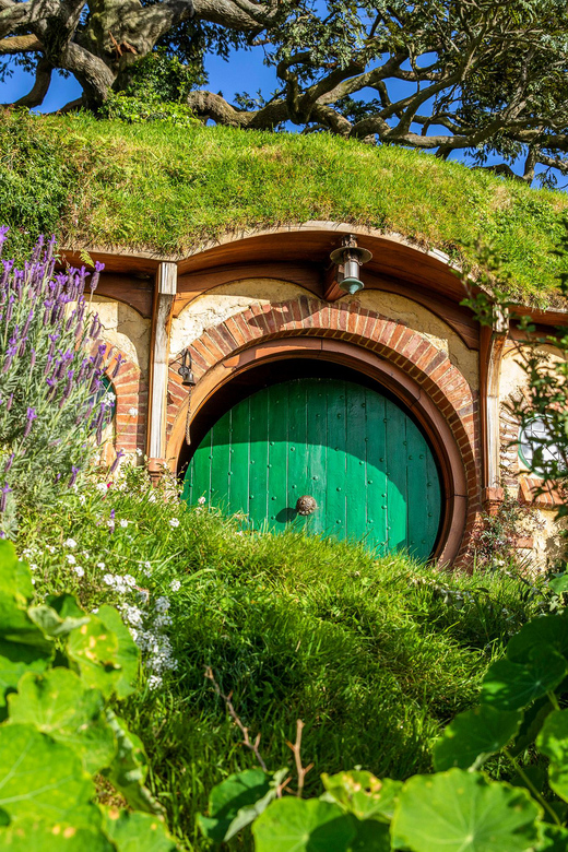 Auckland: Private Day Tour to the Hobbiton Movie Set | GetYourGuide