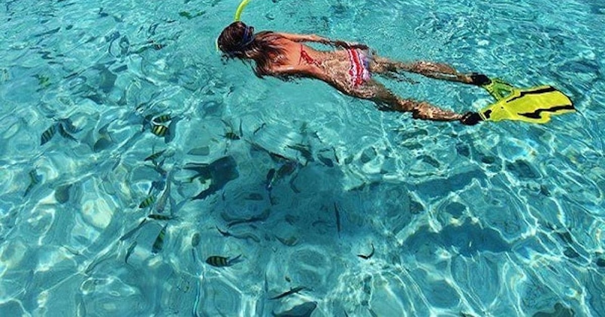 From Phi Phi: Half-Day Snorkeling Trip by Long Tail Boat | GetYourGuide