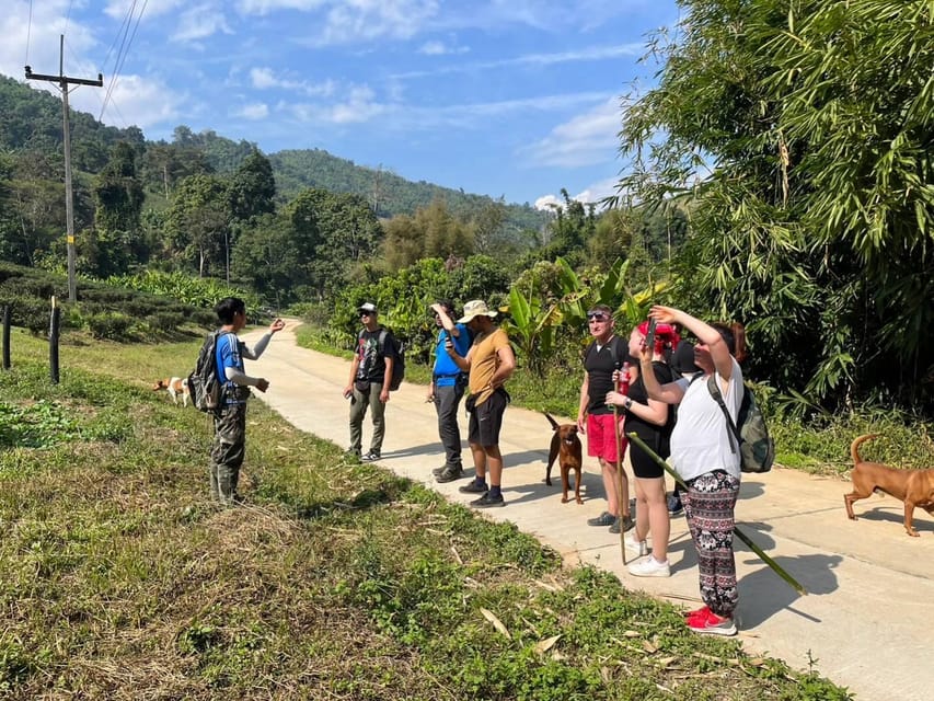 Chiang Rai: Jungle Adventure-Group Trekking & Bamboo Cooking | GetYourGuide