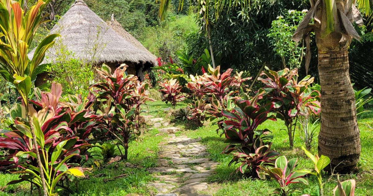 Minca: pueblo indígena, cascada, cafetal y cacao | GetYourGuide