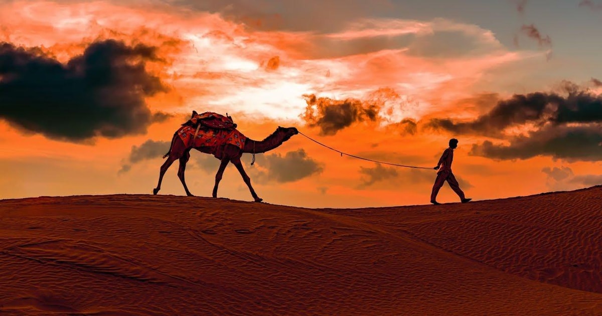 Doha: Night safari & STARGAZING-free camel ride, falcon, ATV | GetYourGuide