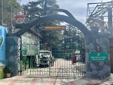 Shimla: Wildlife Sanctuary-Bicycle/E-Rickshaw Guided Tour | GetYourGuide