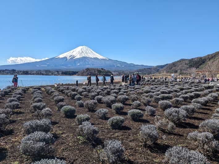 Monte Fuji, Fujinomiya - Reserva de entradas y tours | GetYourGuide