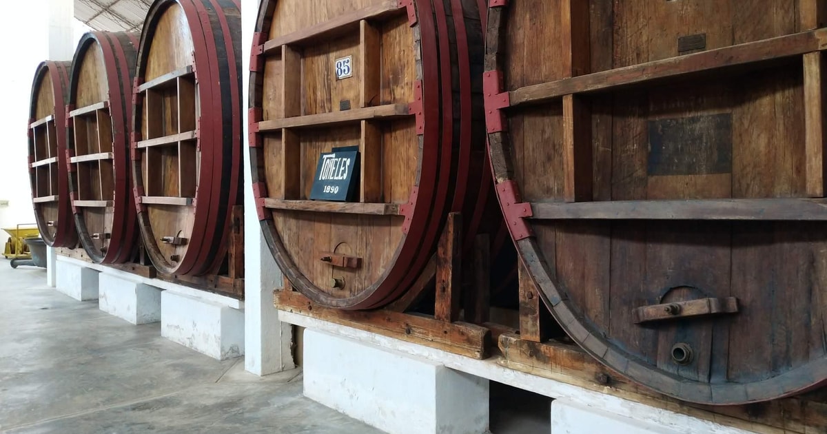 Pisco & Wine Tasting Tour: Discover the fascinating journey of Pisco ...