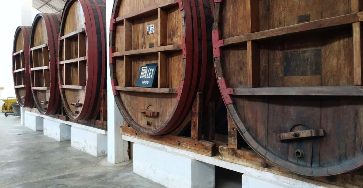 Ica: Cata de Pisco y vino, descubre el fascinante mundo del Pisco ...