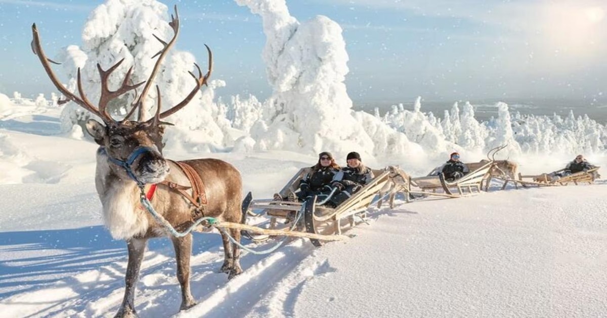 Reindeer Safari and Ice Fishing | GetYourGuide