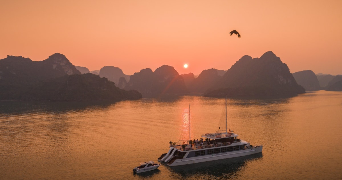 Luxury Halong Catamaran Day Cruise visit Halong - Lan Ha Bay | GetYourGuide