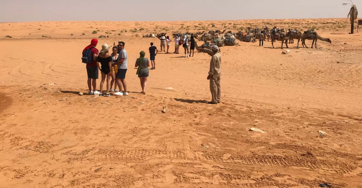 Excursion d'une journée dans le désert à Ksar Ghilane depuis Djerba ou ...