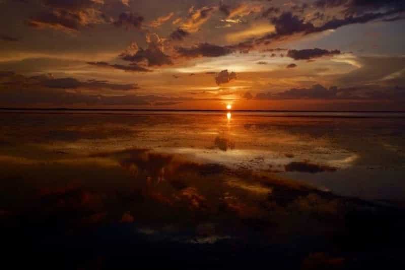 Kissimmee: Boggy Creek Everglades Night Airboat Tour Ticket | GetYourGuide