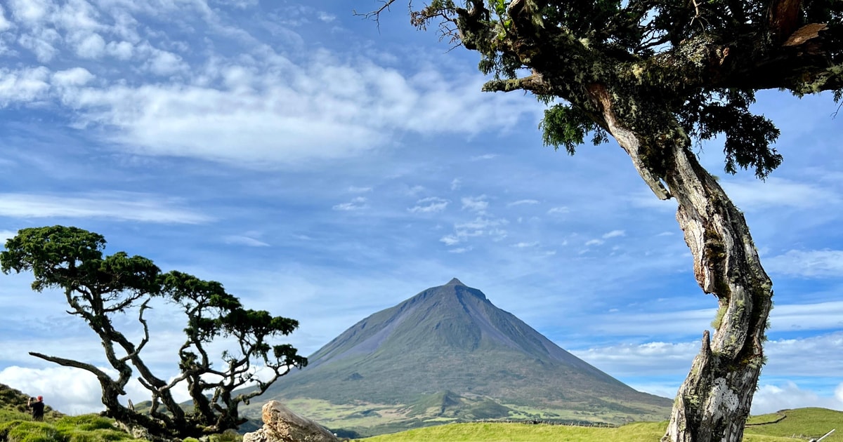 Pico, Azoren: Highlights Tour mit Weinverkostung und Picknick ...