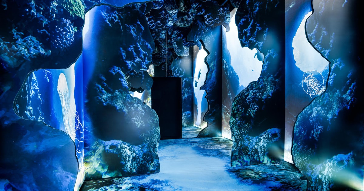 Toronto: Arcadia Earth, Immersive Experience Anytime Ticket | GetYourGuide