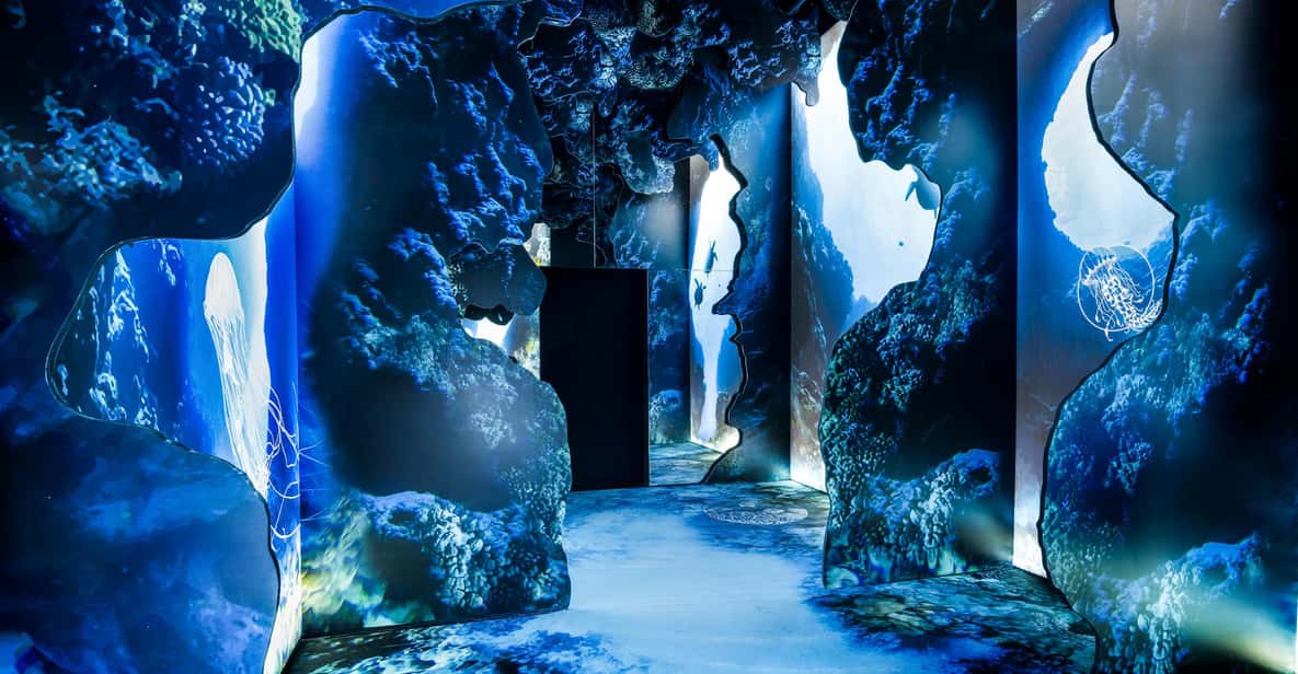 Toronto: Arcadia Earth, Immersive Experience Anytime Ticket | GetYourGuide