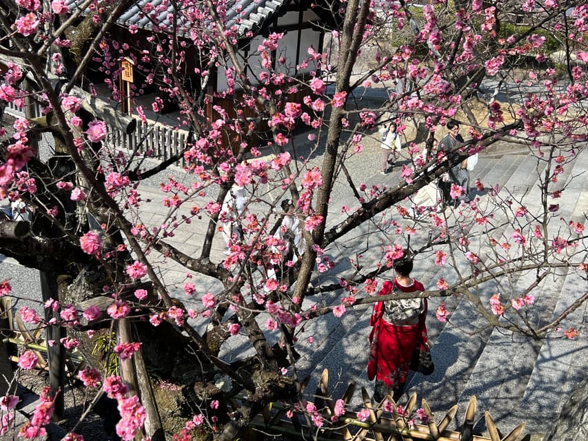 Kyoto: Kiyomizu-dera & Fushimi Inari Half-Day Tour | GetYourGuide