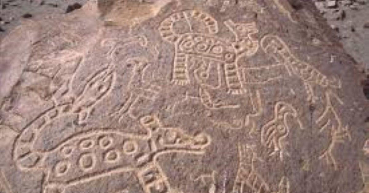 Pisco Route and Dead Bull Petroglyphs in Arequipa | GetYourGuide