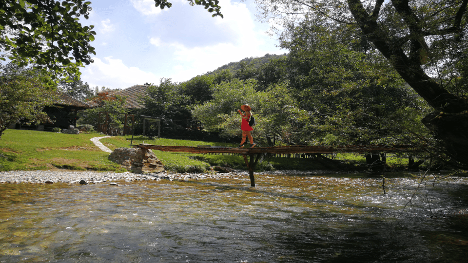 Desde Belgrado: Valjevo, lago Rovni, río Gradac y Celije | GetYourGuide