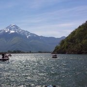 Electric Boat Rental in Como Lake and Natural Reserve | GetYourGuide