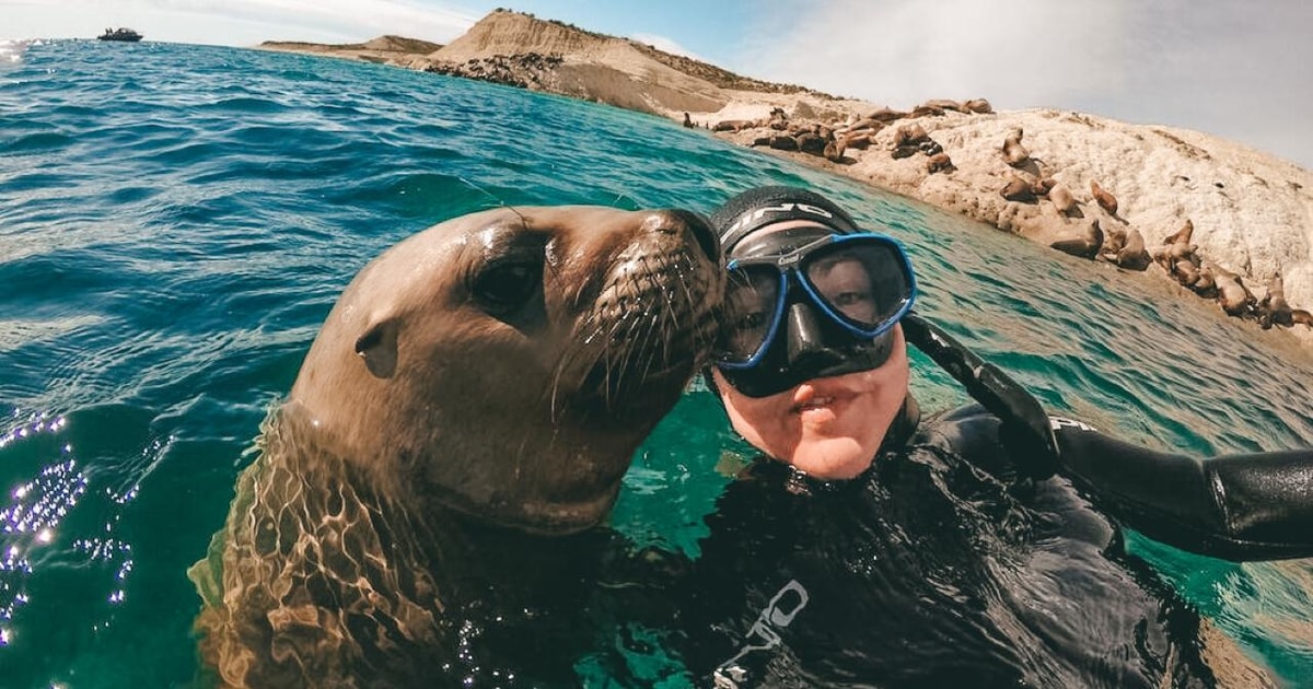 Lima: Escursione all'Isola di Palomino | Ingresso, leoni marini ...