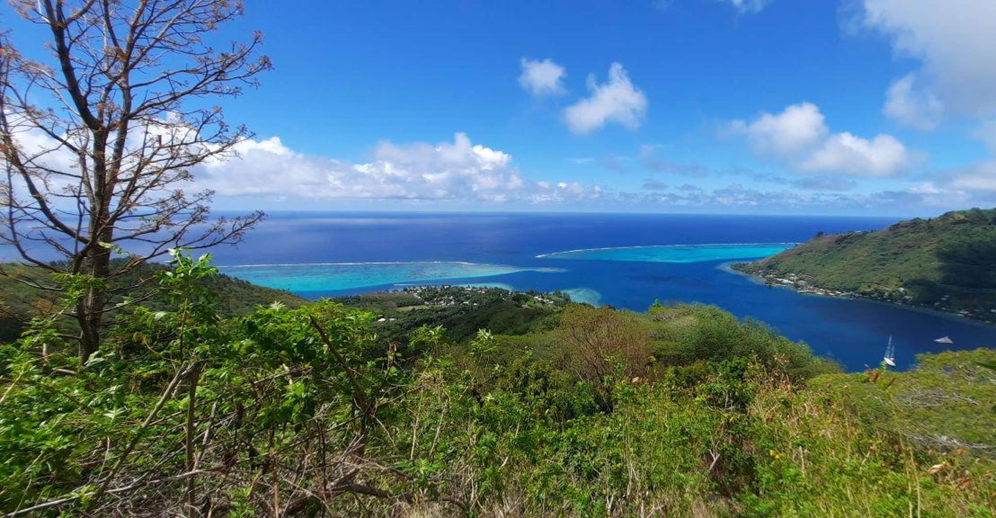 Moorea Safari Nature and Culture Tour with local guide - SuiteTrails