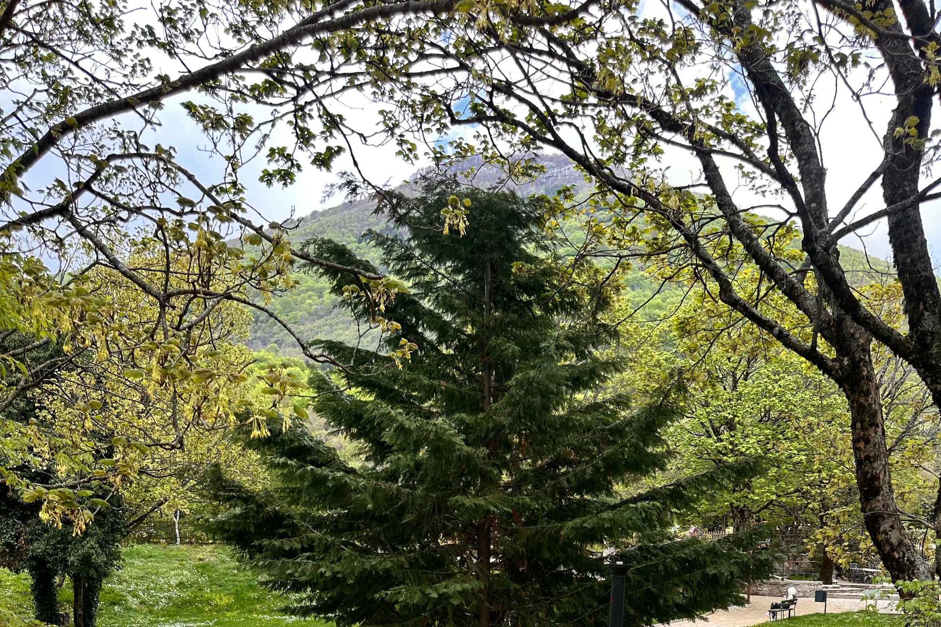 From Tirana : Dajti Mount with Cable Car Ticket | Guide to Europe