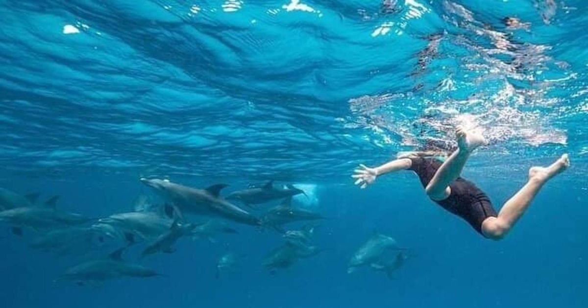 ZANZIBAR: Delfin-Tour, Schildkröten-Schutzgebiet & Kendwa Beach | GetYourGuide