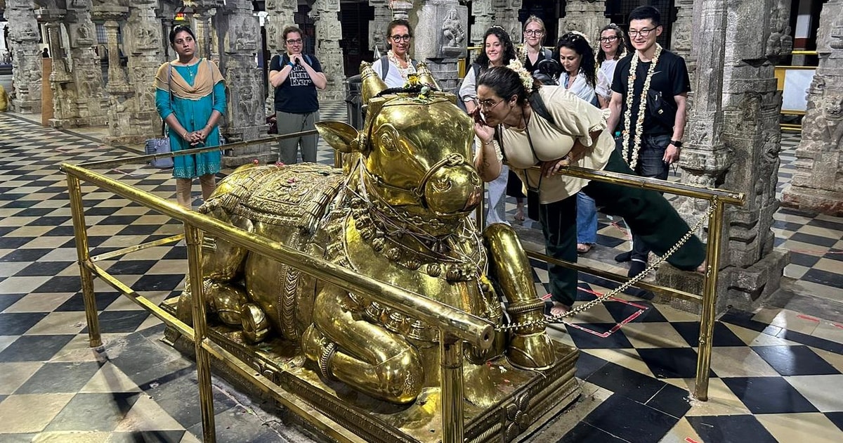 Bangalore: Highlights & Hidden Gems Tour with Guide & Lunch | GetYourGuide