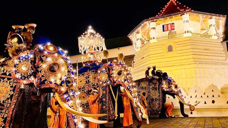 Kandy Esala Perahera (2025 July-30 - 2025 Aug-09) | GetYourGuide
