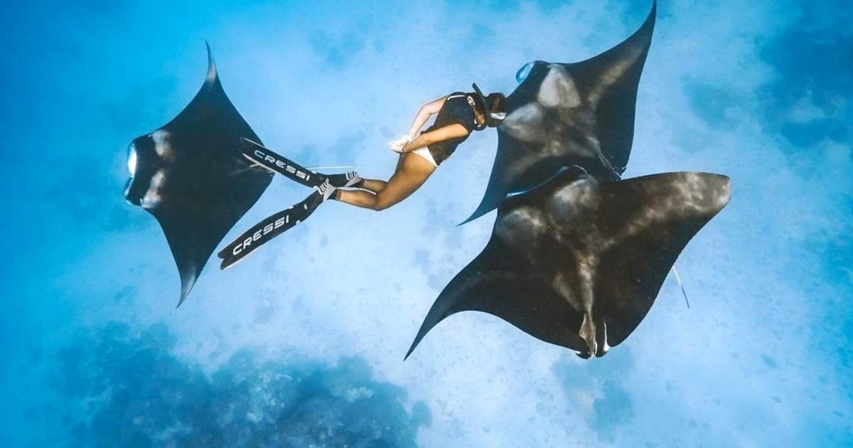 Bali/Nusa Penida: Manta Rays Snorkeling Tour at Manta Point | GetYourGuide