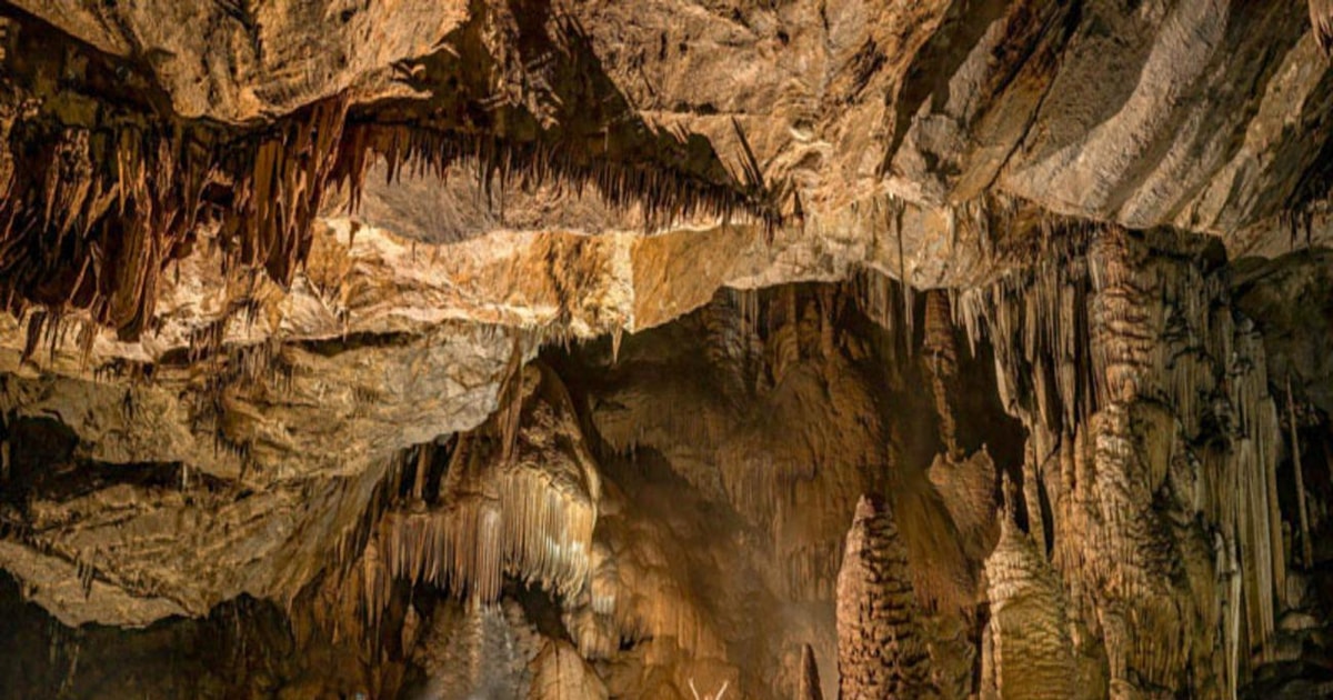 Caverna Paradise e Caverna Dark: viagem de 1 dia e Discover Zipline ...