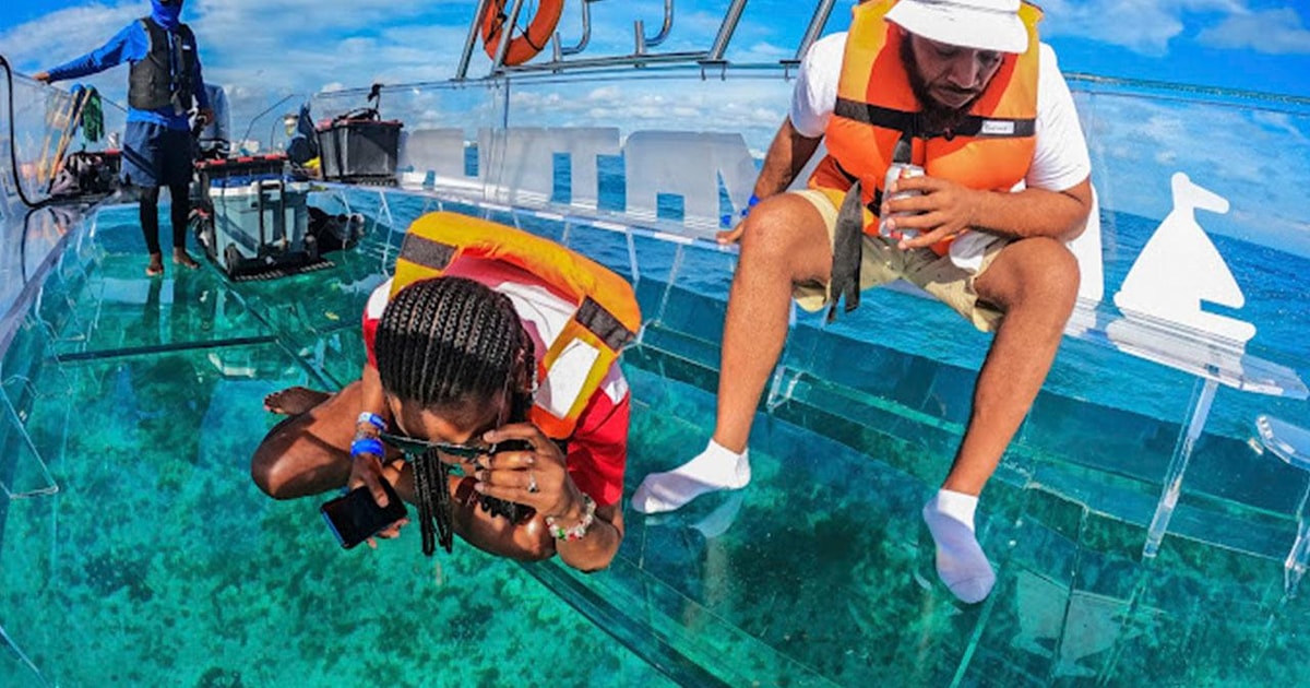 Paseo en barco transparente con cerveza en Cancún | GetYourGuide