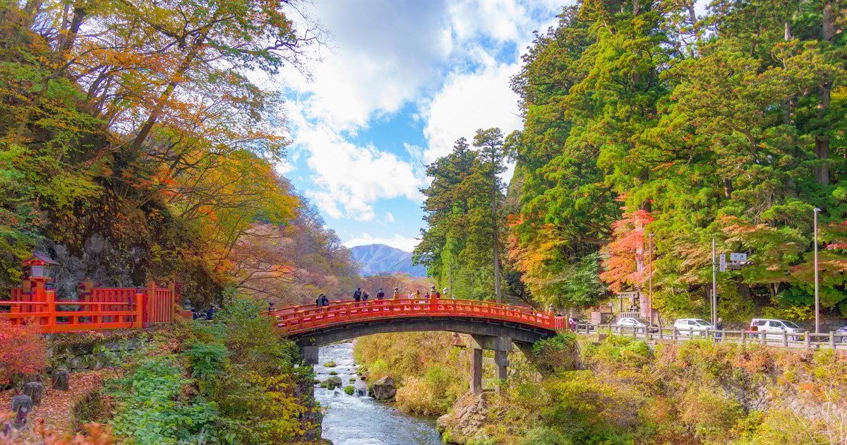 From Tokyo: Nikko & the Beauty of Kegon Waterfall | GetYourGuide