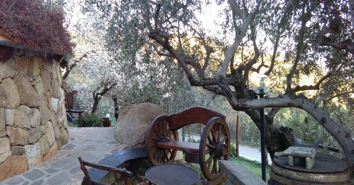 Pasto tipico sardo nella casa del pastore a Nuoro | GetYourGuide