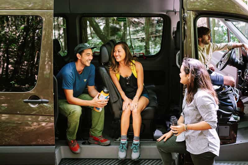 Den store ø: Native Bird Watching & Hiking Tour | GetYourGuide