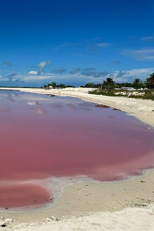 Las Coloradas: Pink Lake visit and boat ride in Río Lagartos | GetYourGuide