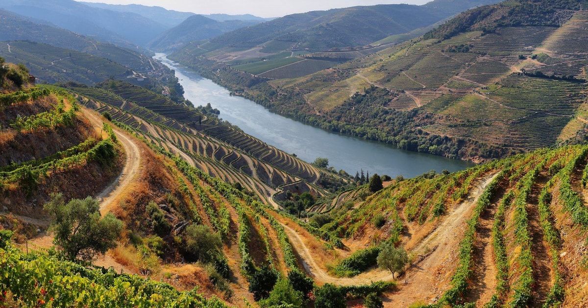 Porto doen: Tour Douro- Pinhão/Regua de 1 dia | GetYourGuide