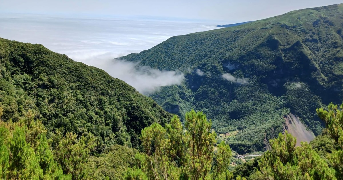 Madère : promenade dans la forêt de Fanal avec vin et repas | GetYourGuide